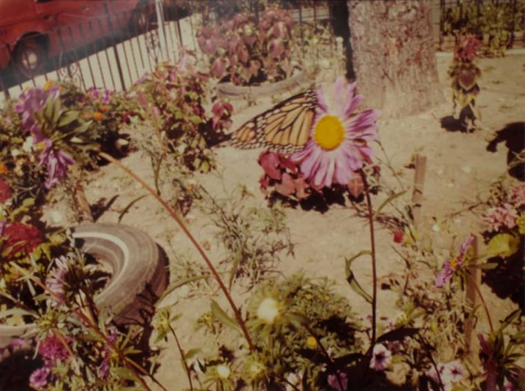 Artist Residency - Barbara Spohr Memorial Award for Photography 2025