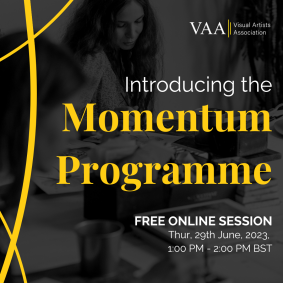 Introducing the Momentum Programme