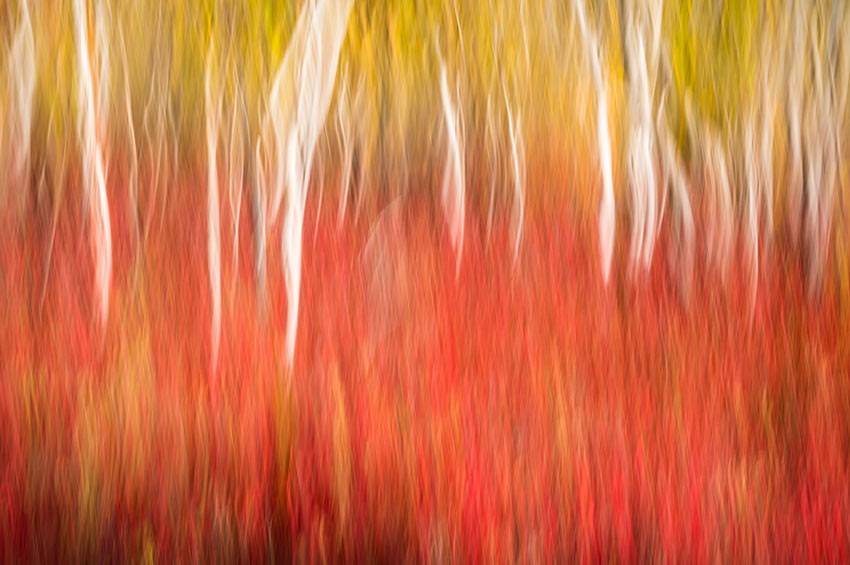 Call for Entries for Photography Competitions and Photo Exhibition ...