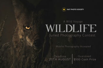 Call for Entries for Photography Competitions and Photo Exhibition ...