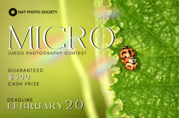 Call for Entries for Photography Competitions and Photo Exhibition ...